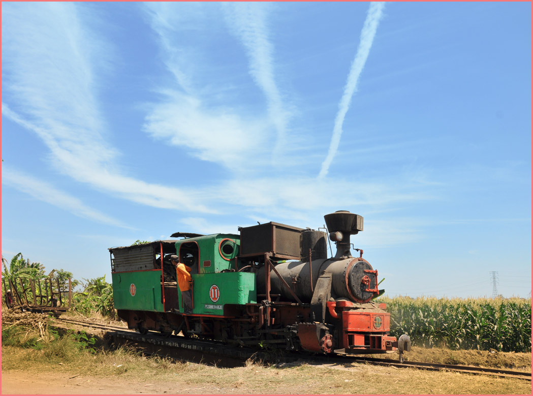 25 | DRFC-OB デジタル青信号