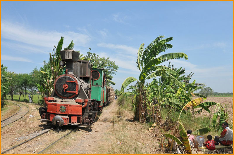 25_4 | DRFC-OB デジタル青信号