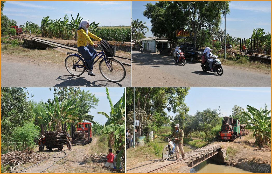 28 | DRFC-OB デジタル青信号