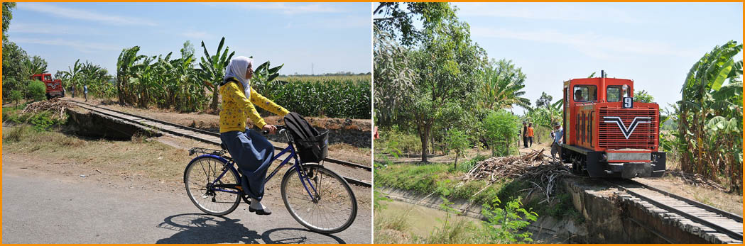 50 | DRFC-OB デジタル青信号