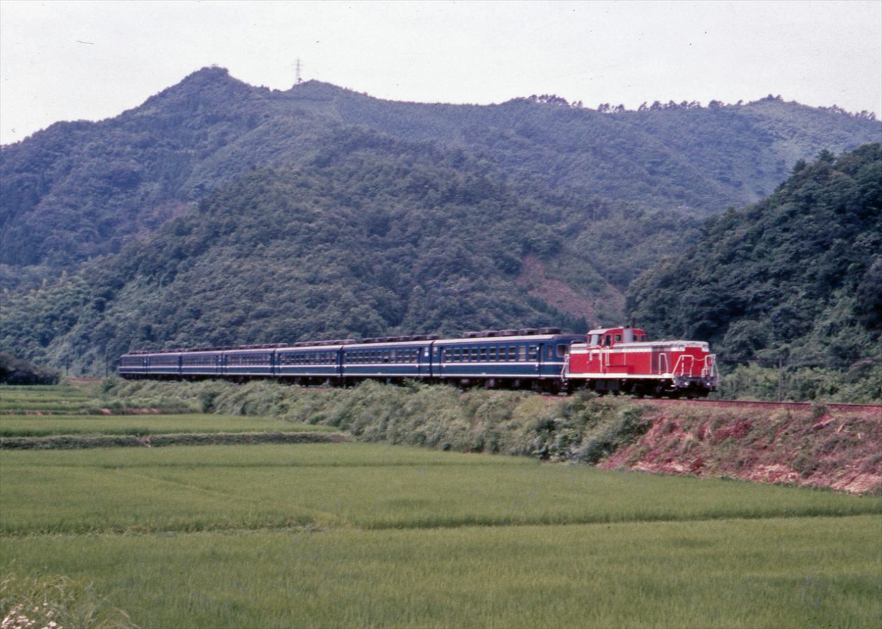夏の思い出2017-3 「はしだてビーチ」 | DRFC-OB デジタル青信号