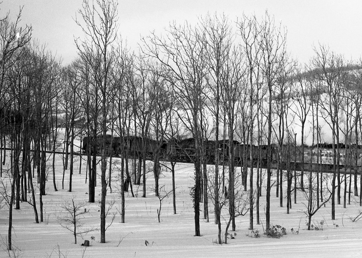 北のC62 全記録 〈20〉 | DRFC-OB デジタル青信号