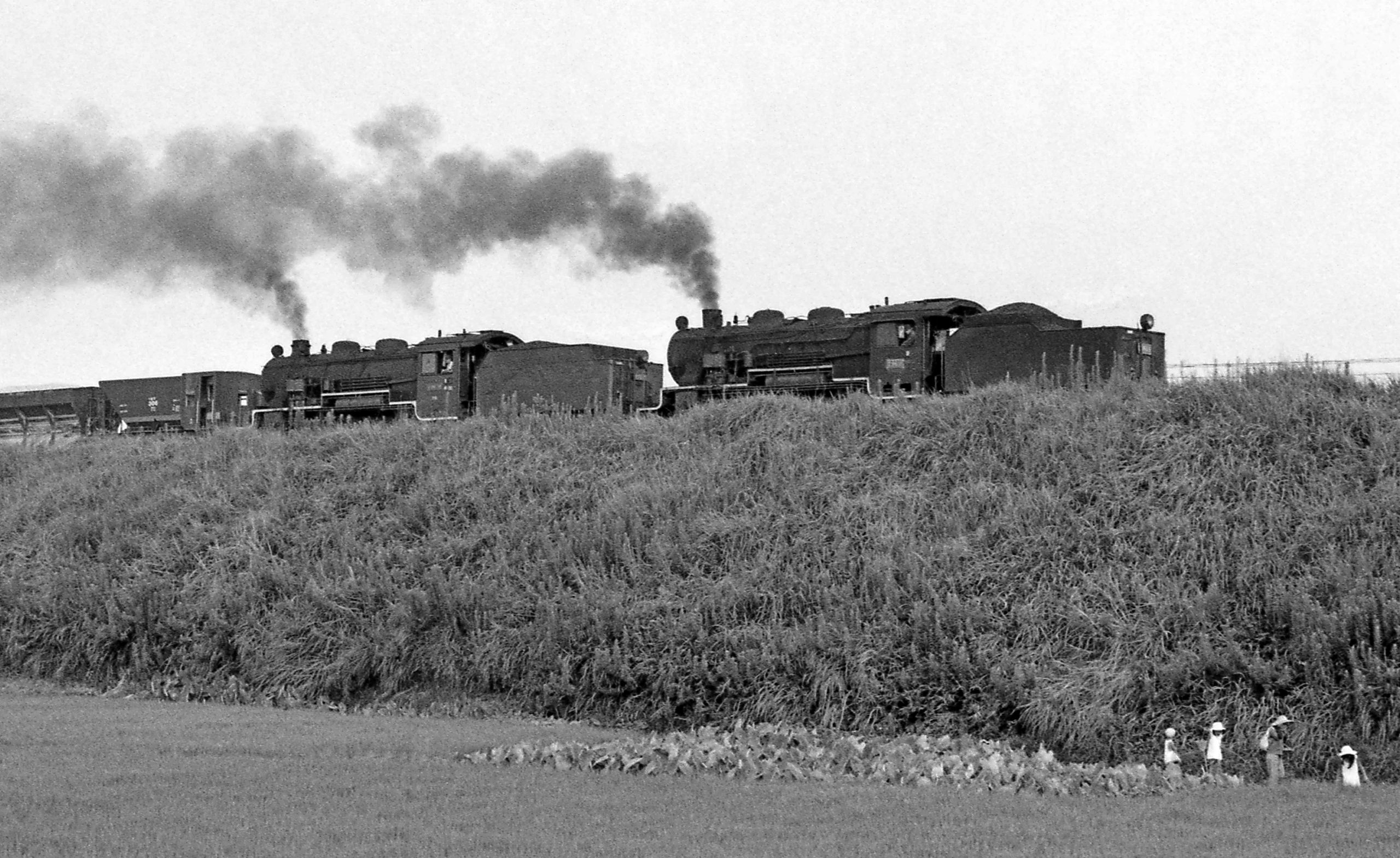 EMN-50-24-E2 | DRFC-OB デジタル青信号