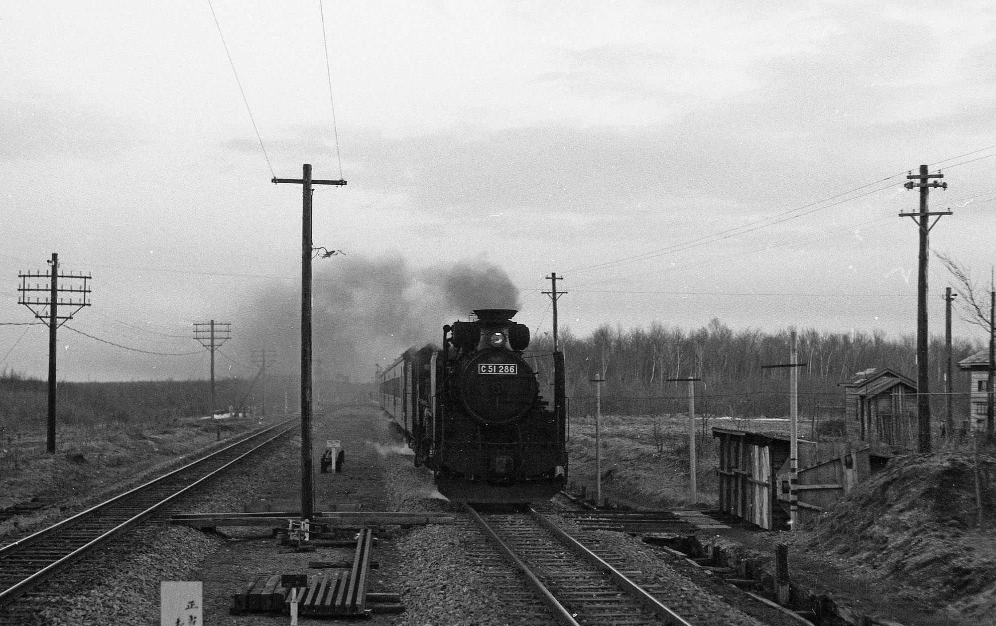 18C51286 | DRFC-OB デジタル青信号