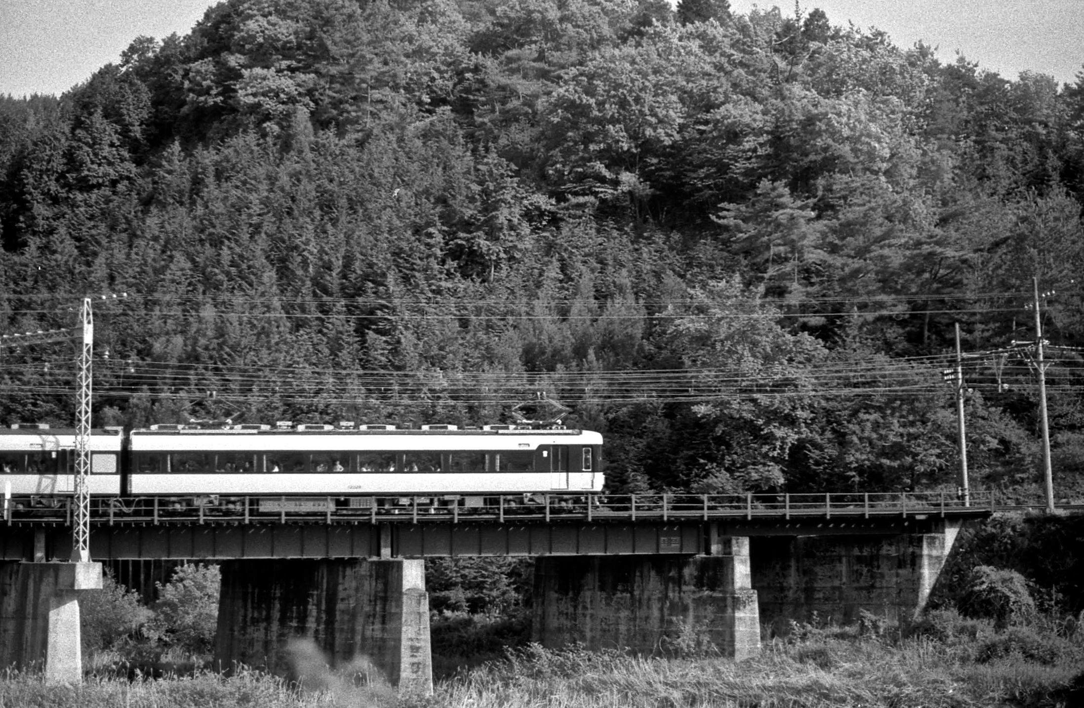 EPSON scanner image | DRFC-OB デジタル青信号