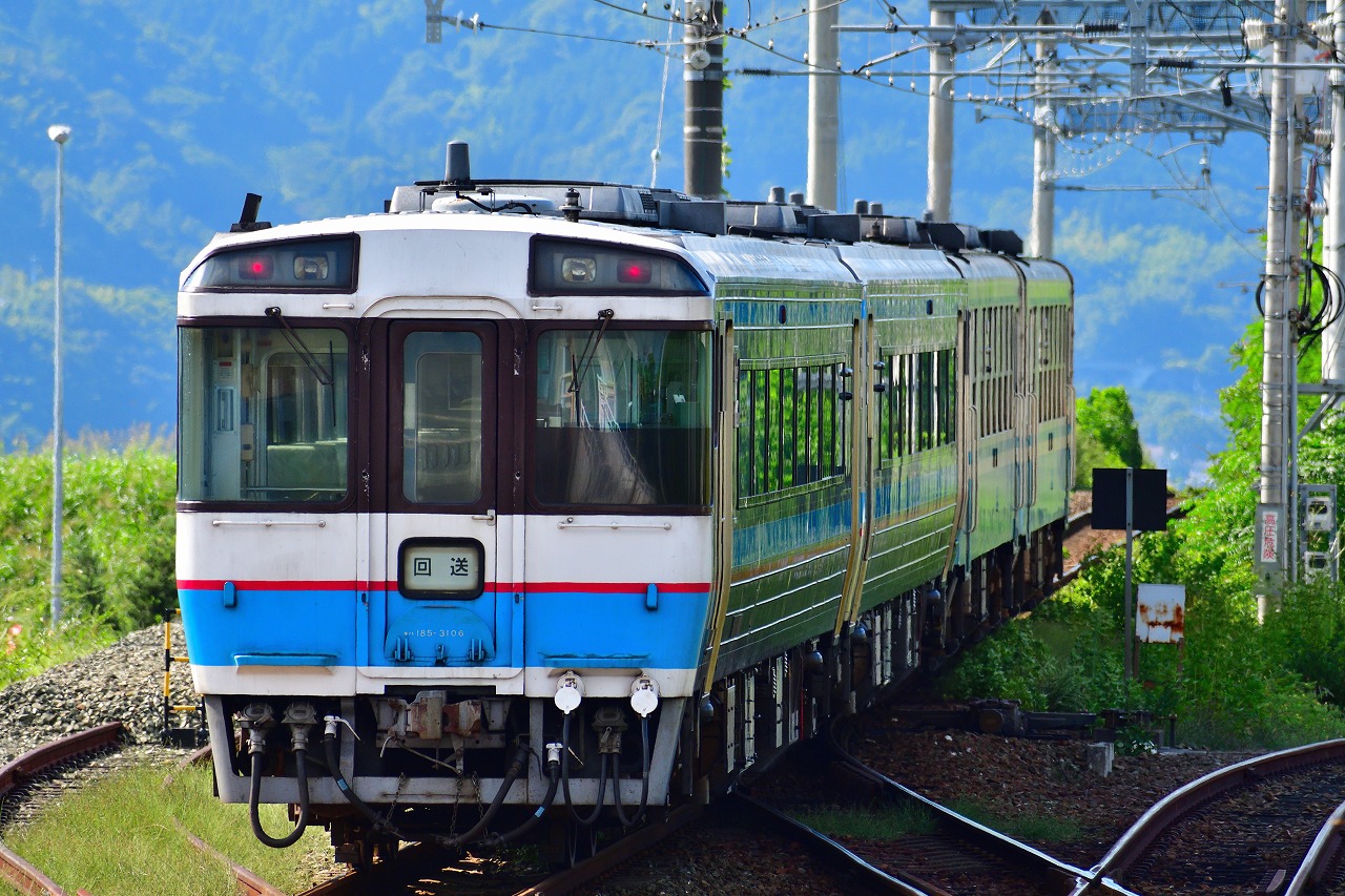 DSC_4245 | DRFC-OB デジタル青信号