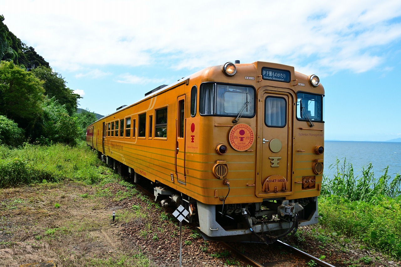 DSC_4442 | DRFC-OB デジタル青信号