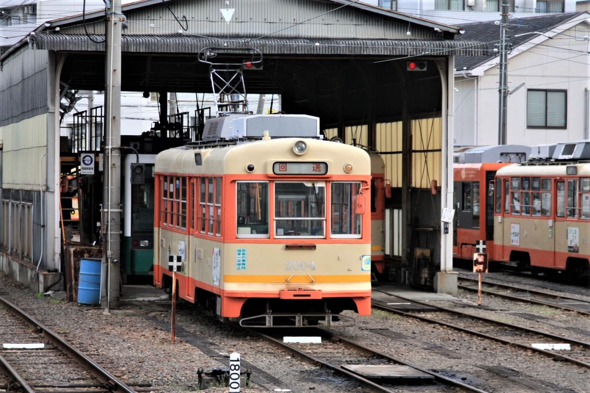 IMG_7877-1 | DRFC-OB デジタル青信号