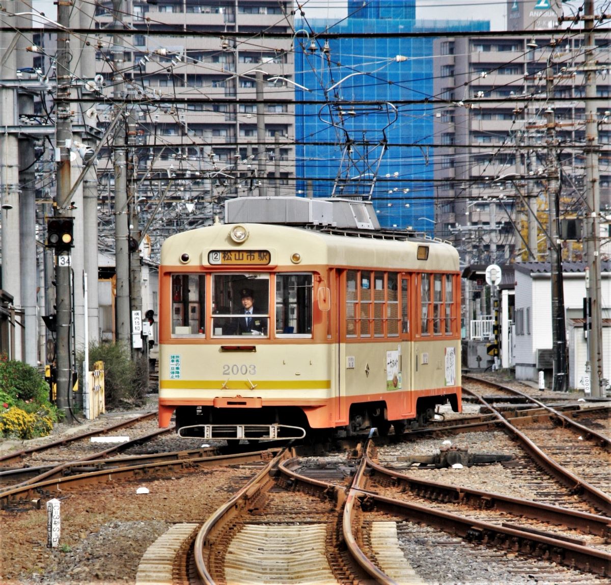 IMG_78892-1 | DRFC-OB デジタル青信号