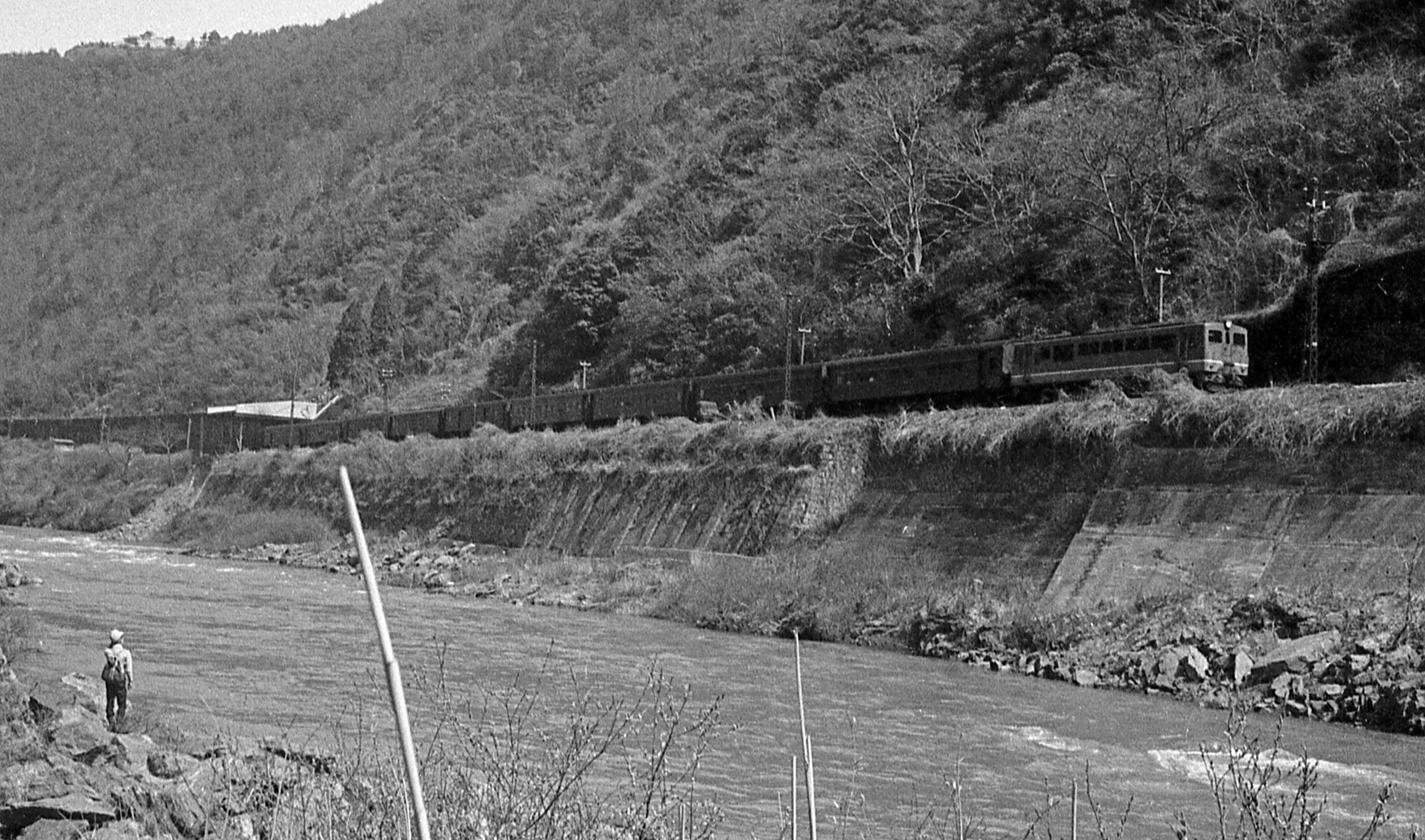 MNh-7-13836DF50 | DRFC-OB デジタル青信号