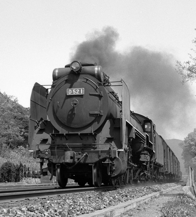 satake 10920 004sytri | DRFC-OB デジタル青信号