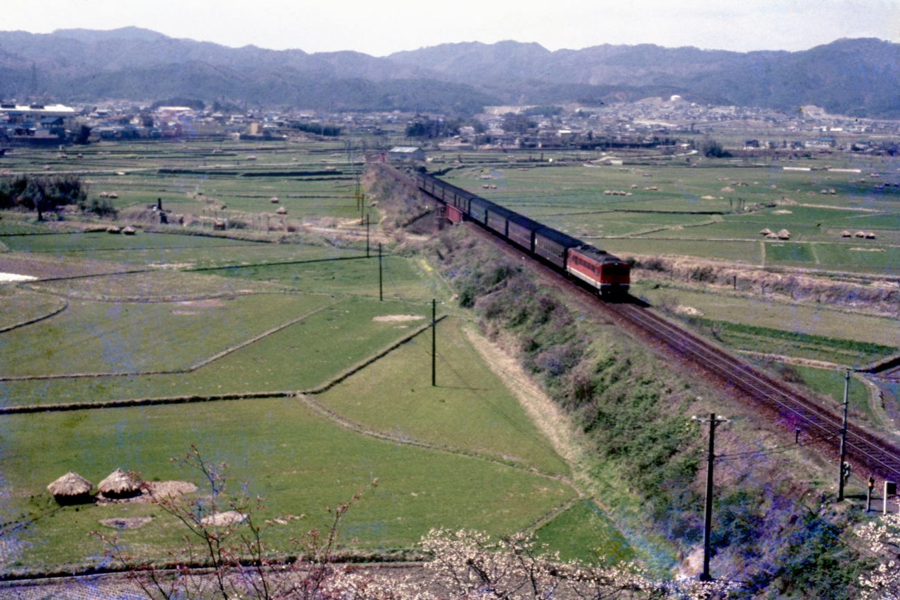 webDF50 | DRFC-OB デジタル青信号