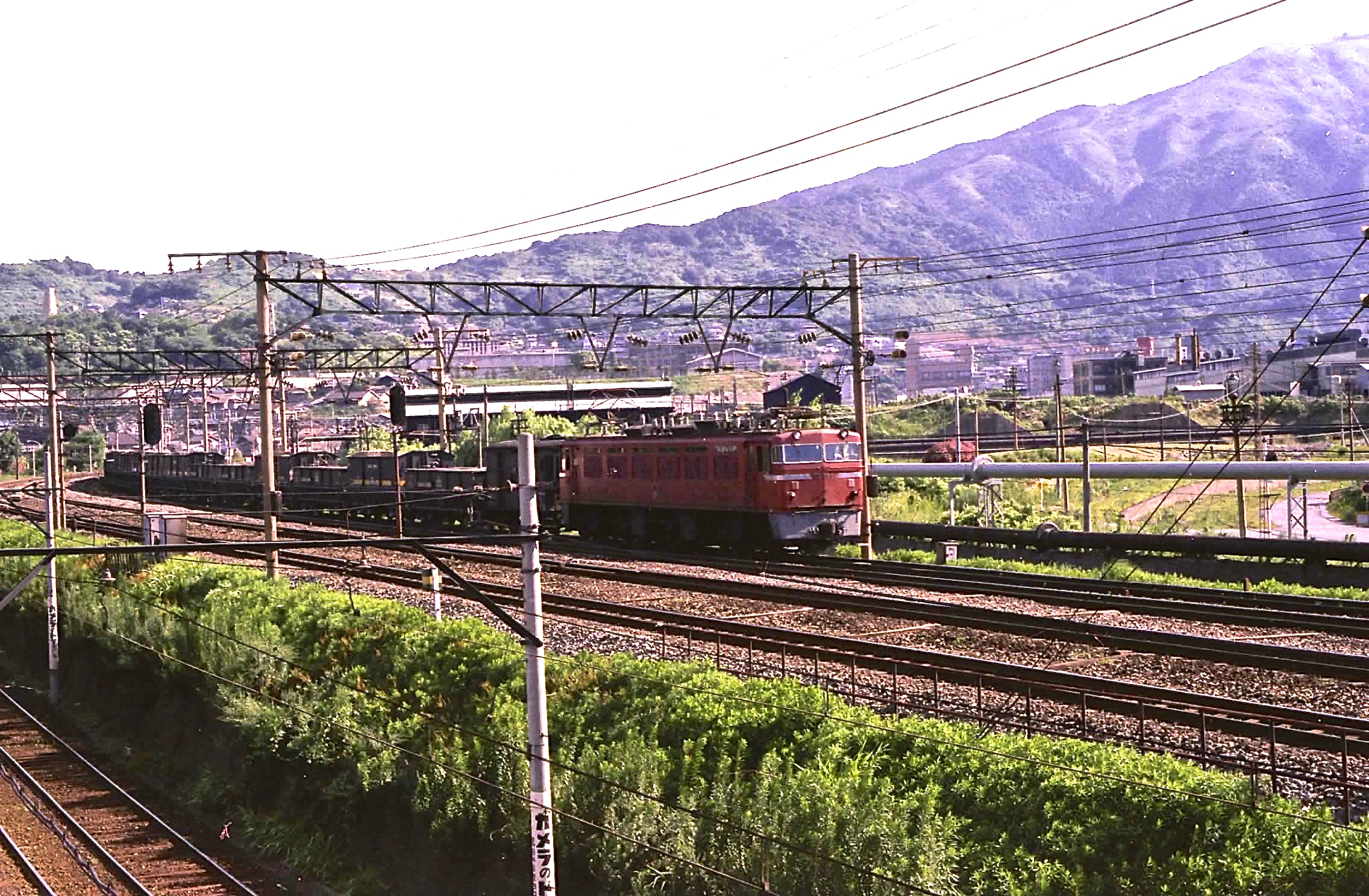 EPSON scanner image | DRFC-OB デジタル青信号