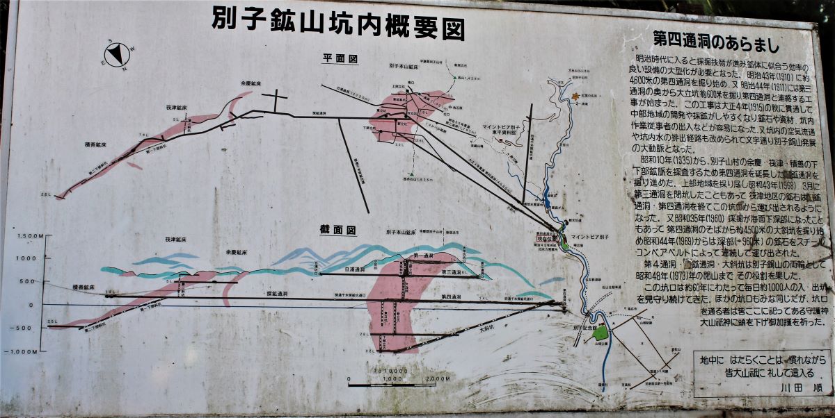 IMG_9584 (3)-1 | DRFC-OB デジタル青信号