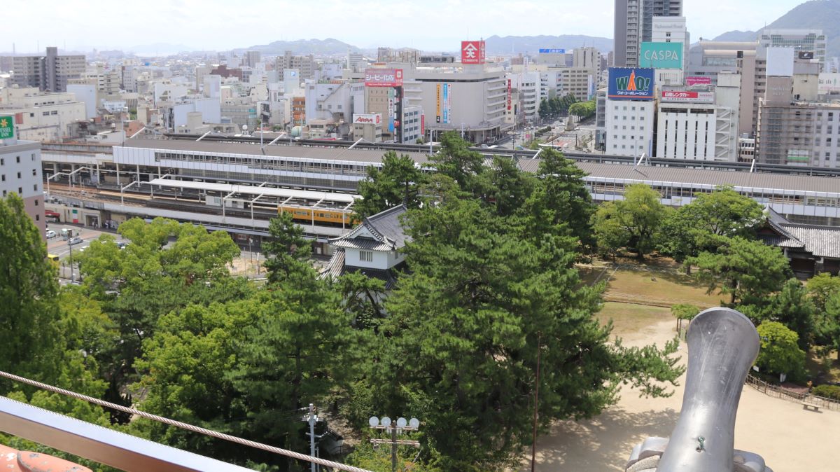 IMG_3490-1 | DRFC-OB デジタル青信号