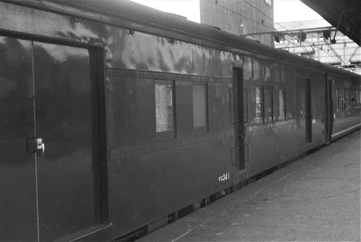 PICT0694-1 | DRFC-OB デジタル青信号