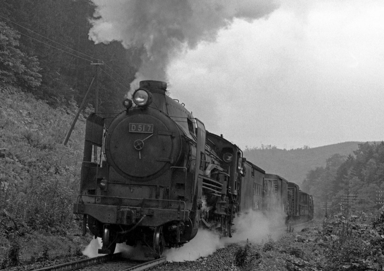 “ナメクジ”に 魅せられる （2） | DRFC-OB デジタル青信号