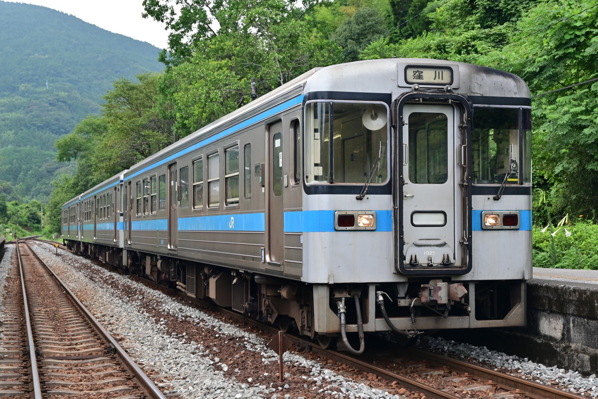 DSC_4419 | DRFC-OB デジタル青信号