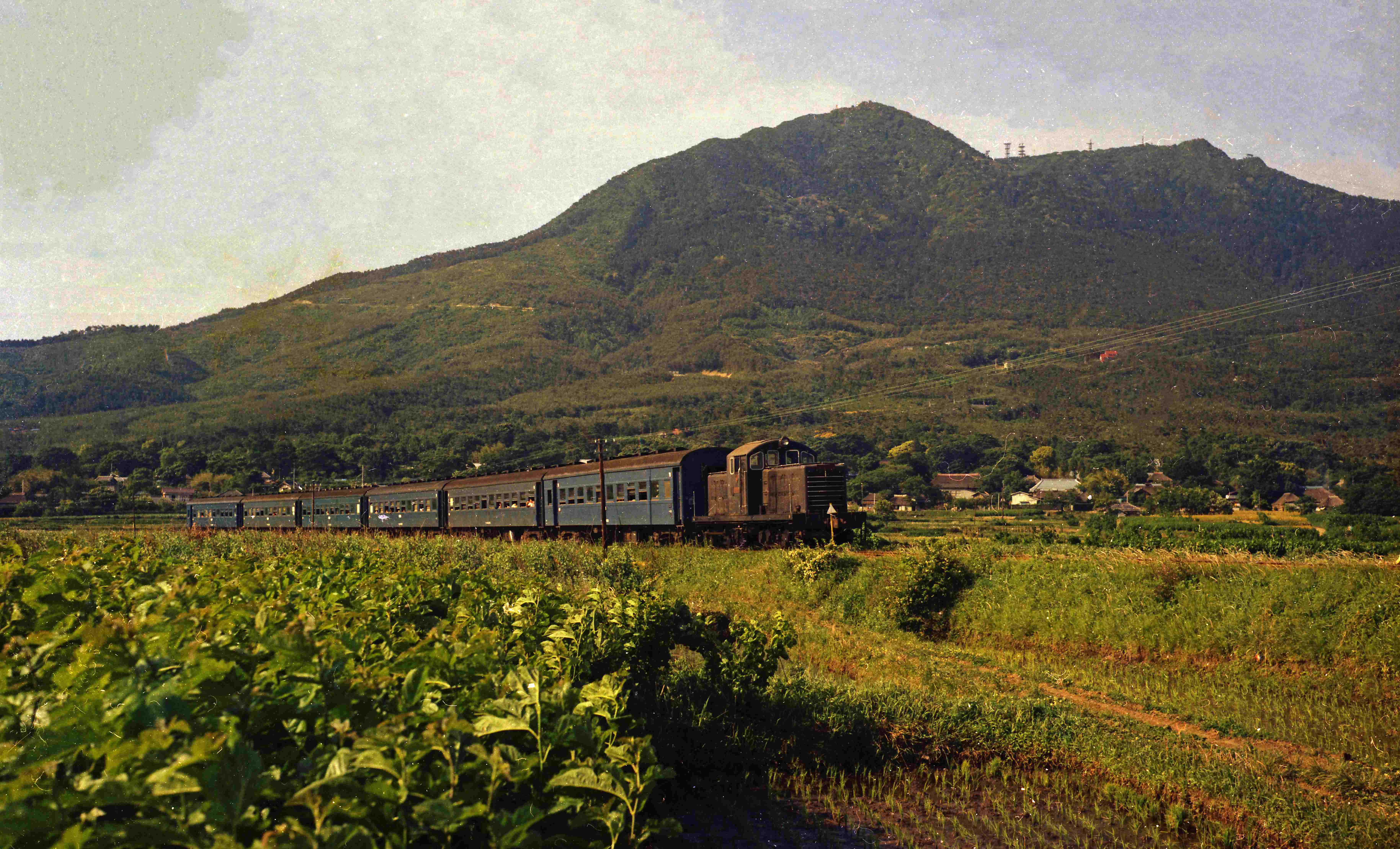 73.5.20DD501_R | DRFC-OB デジタル青信号