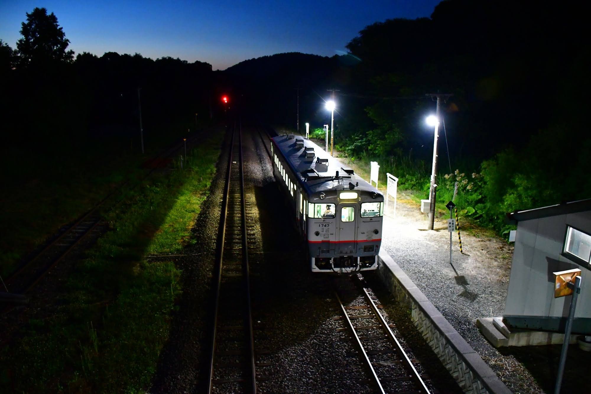 DSC_2023 | DRFC-OB デジタル青信号