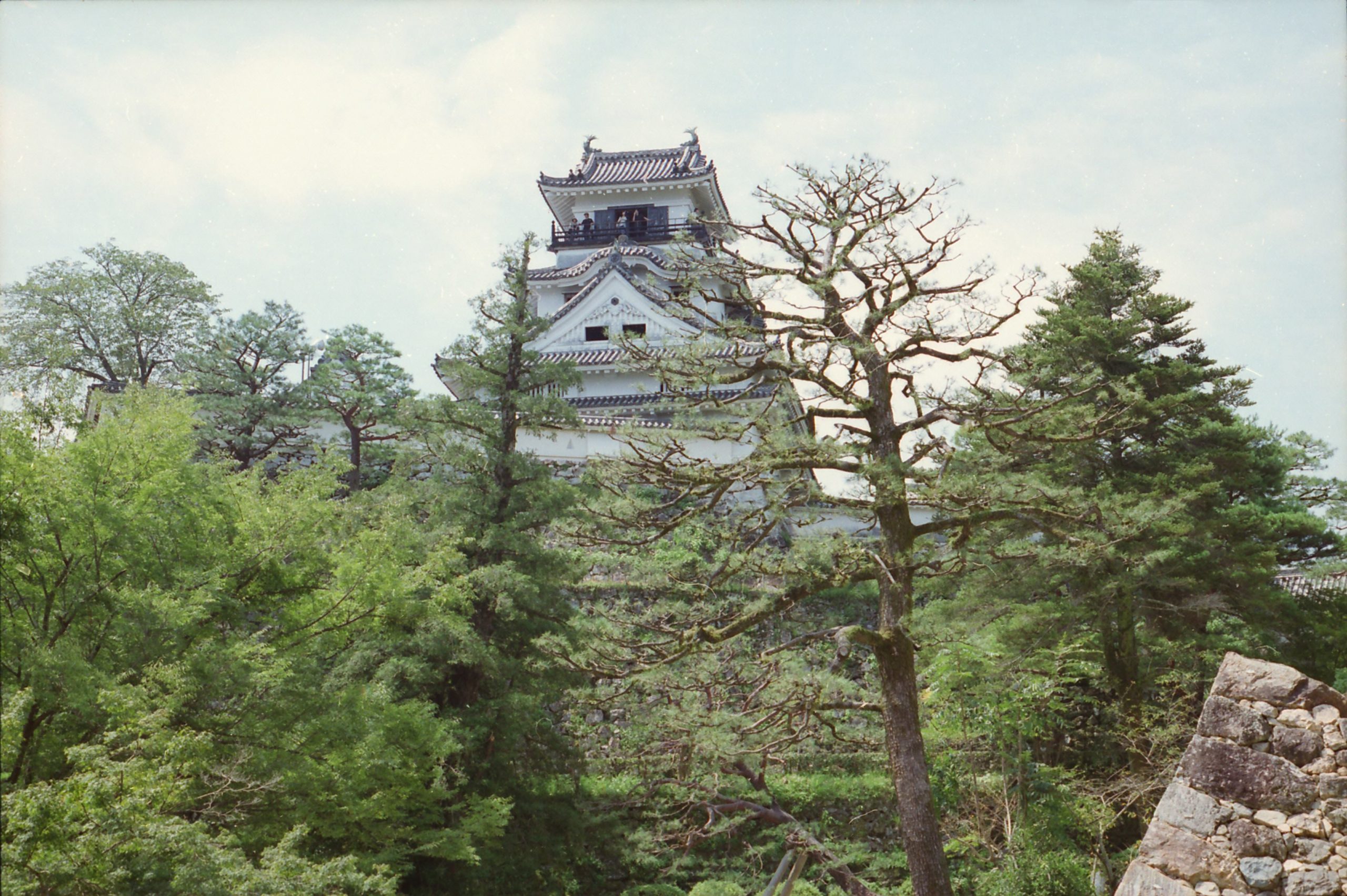 07.8.26高知城_R | DRFC-OB デジタル青信号