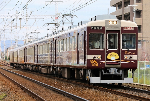 4Y5A5081- | DRFC-OB デジタル青信号