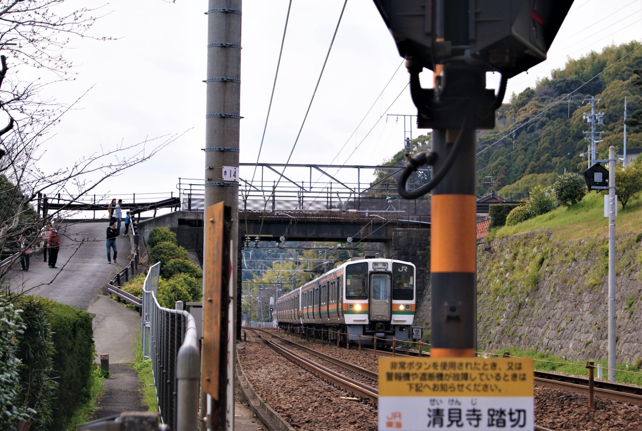 SONY DSC | DRFC-OB デジタル青信号