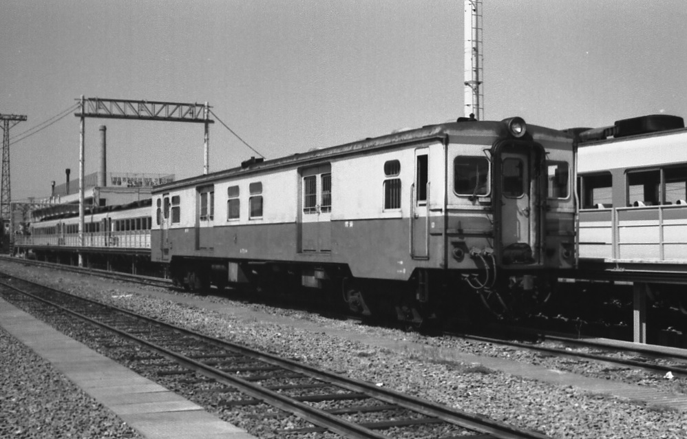 ⑥ｷﾆ17 | DRFC-OB デジタル青信号