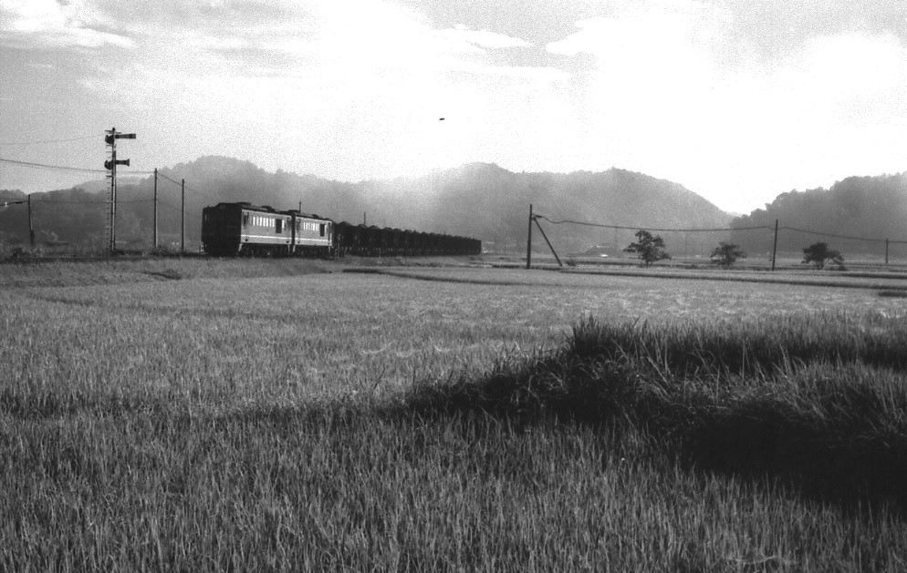 Fig04 | DRFC-OB デジタル青信号