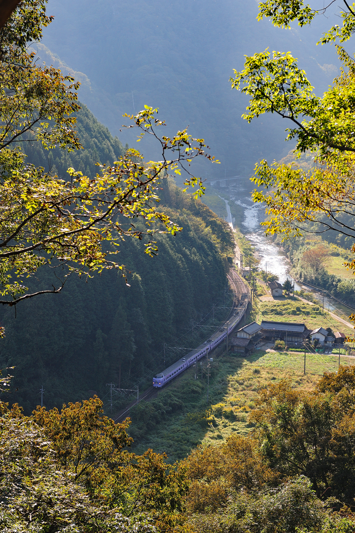 231016_42161020M | DRFC-OB デジタル青信号